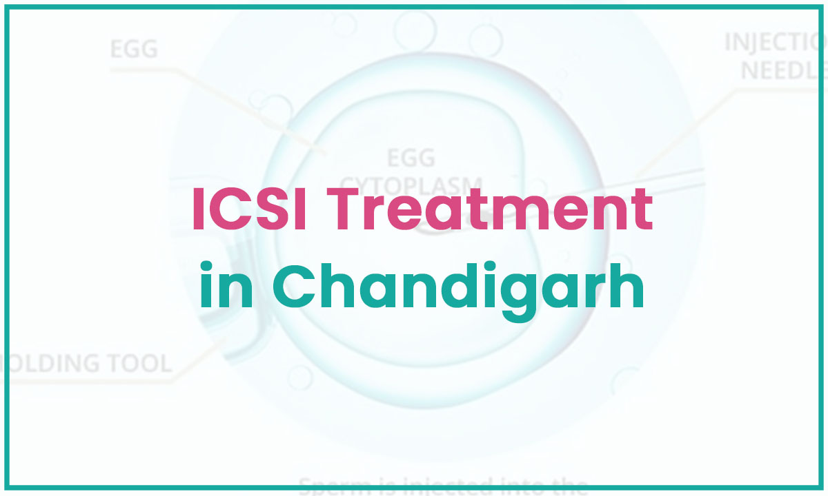 ICSI Treatment in Chandigarh | Dr. Sabia Mangat