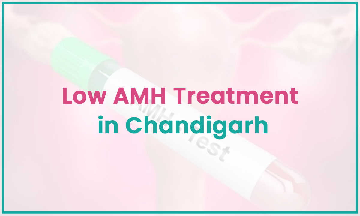 Low AMH Treatment in Chandigarh | Dr Sabia Mangat